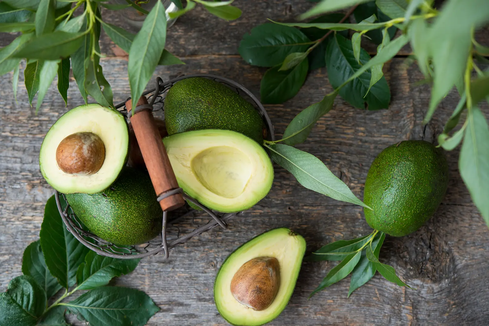 Die gesundheitlichen Vorteile, die Avocado bietet - clickNEWS